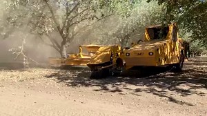 182 reactions · 161 shares | This year's almond harvest has begun. Here's action from Dunnigan. Nonpareil almonds grown by the Doherty family and harvested by Circle D Farms. The 2020 almond crop is forecast to be massive - at 3 billion pounds! | Northern California Water | Facebook
