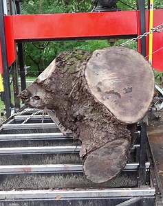 Before I had machinery to move logs, I had leverage and creativity 🫠 | Matt Cremona