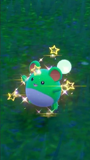 Watch as I encounter a Shiny Marill in Pokémon Scarlet and Violet on the Switch 2! #shorts