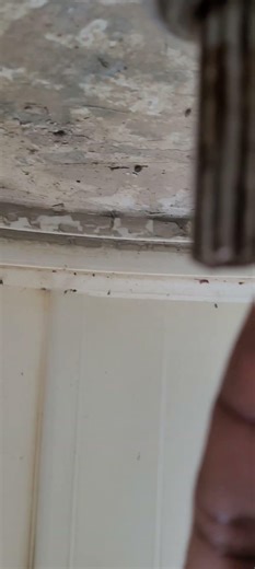 LG Automatic Washing Machine Gear Box Kharab, Size Lekar Checking aur Maap