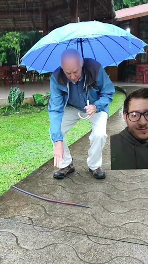 Exploring the Giant Earthworm of Australia