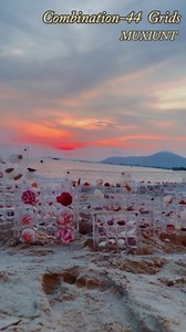 Multi-Style Clear Acrylic Magnetic Seashell Display Collection Box with Tweezers，Tiny Seashell Holder Display Case Collecting Small shells Trinkets Sea Glass Shark Teeth Beach Themed Gifts