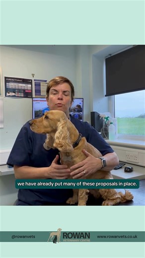 6.2K views · 51 reactions | You may have seen that the Competition...