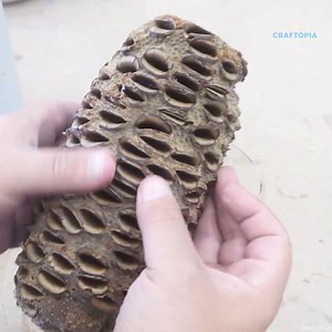 20 reactions | Unusual Wood into a Show-Stopping Vase | Craftopia | Facebook