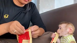 5.1K views · 106 reactions | Baby DAM Very Surprise Stare Mom Peeling Sunflower Seed For Him Eating | Entertainment | Facebook