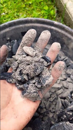 What is Potash? 🔥 #gardening #garden #gardentips #potash #potassium #fertility #fertilizer