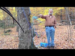 The New 3\\16" Maple Tubing System at Krueger-Norton Sugarhouse - Vermont