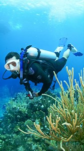 The ability to change anything changes everything. Fully customizable, the SCUBAPRO Modular Fin System (MFS) deliver maximum power when you need it, plus customizable blades and foot pockets so you're ready for all diving temperatures and preferences. | Scubapro