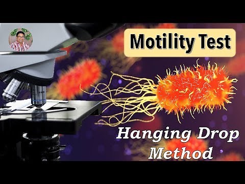 Bacterial Identification Tests: Motility Test (Hanging drop method)