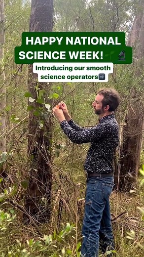 HAPPY NATIONAL SCIENCE WEEK🧬🔬 Celebrate the power of plants and the amazing science that goes into saving them🌱 | Botanic Gardens of Sydney