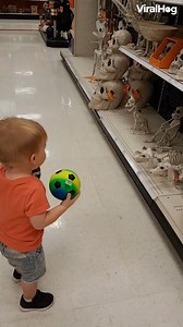 Halloween came early for this little guy... 😱🐶💀 #viralhog #skeleton #puppies #halloween | ViralHog