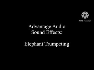 Advantage Audio Sound Effects: Elephant Trumpeting