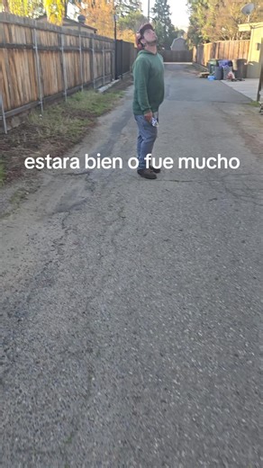 Tree Work Insights: Understanding the Live Incentive Program