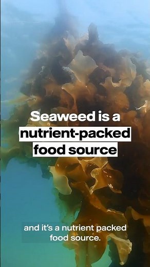 Look beneath the surface