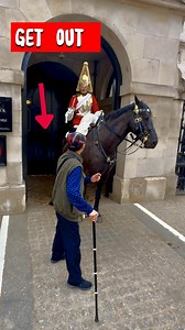 137K views · 955 reactions | WHERE HE IS GOING! **Hashtags:**...