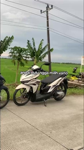 Choosing the Right Motorcycle: Vario 125 vs Ninja