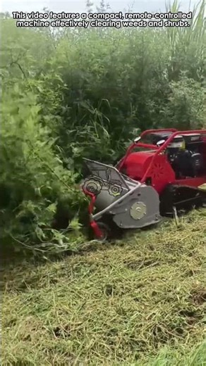 Automated Landscaping: The Remote Weed Remover