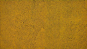 Kusama Infinity