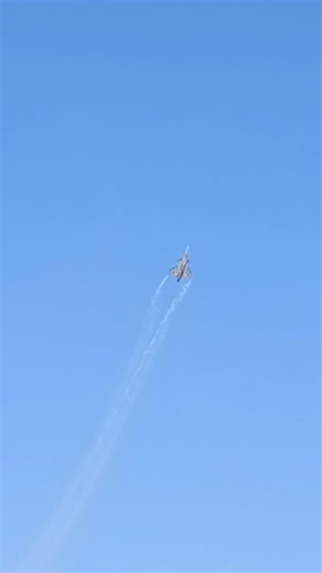 JAS-39C Loop Maneuver (Children's Day Airshow 2026)