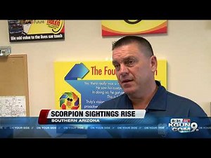 Scorpion sightings rise for pest control companies in Arizona
