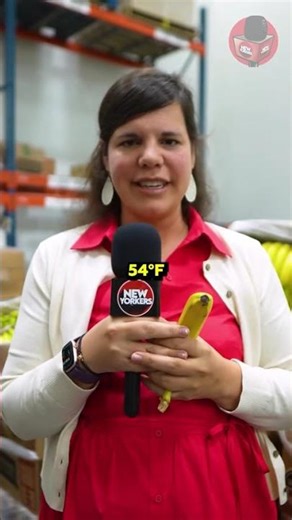 What’s the right temperature to keep your 🍌 fresh? ​⁠by ‪@newyorklocals‬