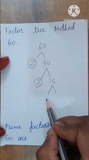 Prime factorization of 60 - Maths / Factor tree method / Factors And Multiples / 🖋🖋🖋