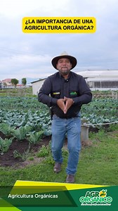🌱 La Agricultura Orgánica: Un Camino Hacia un Futuro Más Saludable 🌱 La agricultura orgánica es mucho más que una tendencia, es una forma de cultivo que promueve la sostenibilidad, la salud del suelo, el bienestar de las personas y el planeta. A diferencia de la agricultura convencional, que utiliza pesticidas, fertilizantes y químicos, la agricultura orgánica se basa en prácticas que respetan los ciclos naturales y la biodiversidad. Uno de los pilares fundamentales de la agricultura orgánica 