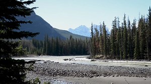 Jasper, Canada, Alberta. Free Stock Video
