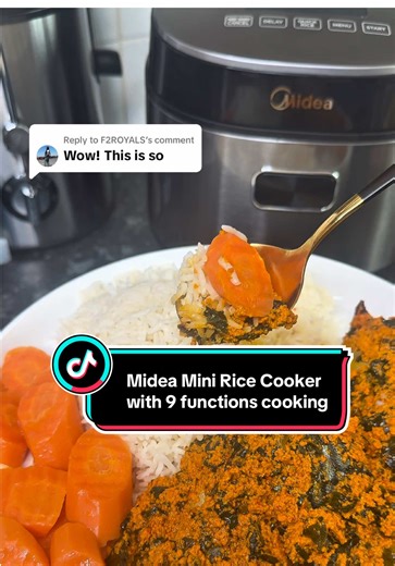 Transform Your Cooking with This Mini Rice Cooker