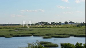 Scenic Video of a Beautiful Swamp Slough with Tall Cattail Reeds and Blue Water – Serene Wetland Landscape and Tranquil Marsh with Lush Vegetation and Aquatic Plants