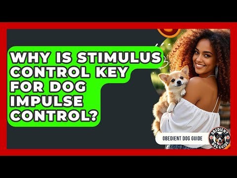Why Is Stimulus Control Key For Dog Impulse Control? - Obedient Dog Guide