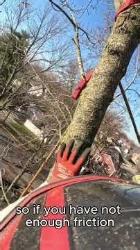 Port-A-Wrap rigging CRASH COURSE💯 #dungrovetreeservice #certifiedarborist #southeastmichigan