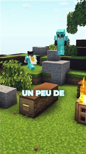 ⬆️ Rejoins le Discord en bio - Si tu n'as pas le temps viens sur mon serveur minecraft.