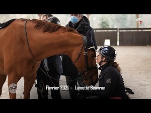 Para-dressage - Master class équipe de France - Février 2021