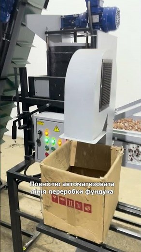 FULLY Automated Walnut Processing Line! #walnut #walnut #garden