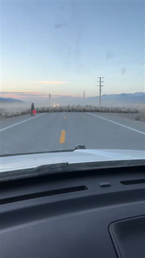 Incident report: Traffic jam, law enforcement edition. Today’s culprit? Sheep. 🐑 Our team member was late to work this morning — take a look at the submitted video and let us know: should we excuse the tardiness? | Inyo County Sheriff's Office