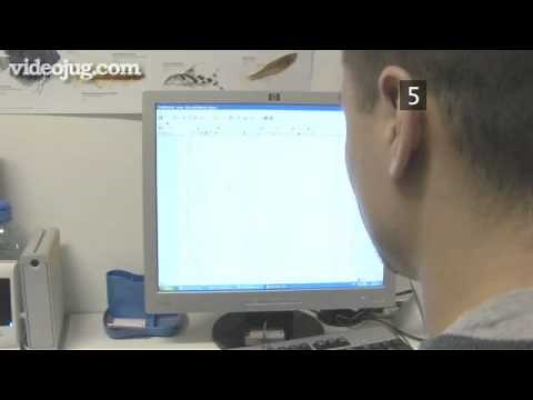 How To Get Rid Of Annoying Spam Emails