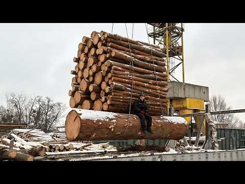 EXTREME WINTER WOOD CHIPS — Brutal Snow Compilation.