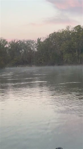 Boatdog’s early morning boat ride to check the lines #boatdog #swampass #doglife #river