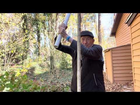 Count Yogi “VERTICAL GOLF SWING”