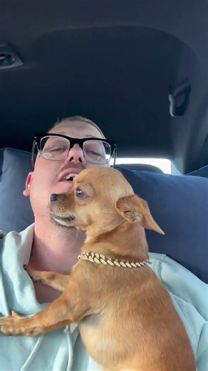 Howling Milton the Wolf 🐺🐶