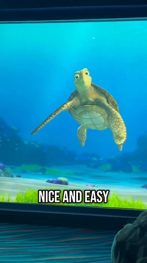 Part 585 #turtletalkwithcrush #turtletalk #funny #turtle #disney #talkshow #kids #ask #reelsvideo #viralvideo #fypシ゚viral | EPCOT Turtle Talk with Crush