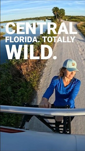 Epic Florida Adventure 🐊 Merritt Island National Wildlife Refuge #Florida #shorts