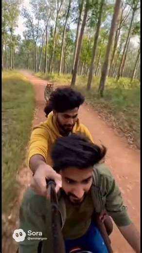A Tiger Chasing Two People on a Motorcycle in the Forest! A terrifying moment was captured as two people riding a motorcycle through the forest suddenly found themselves being chased by a tiger. The video shows intense speed, panic, and a desperate attempt to escape through the dense wilderness. Thankfully, the chase ended without injuries. Watch the thrilling moment unfold! #communityevent #georgia #ontario #novascotia #alberta #familyfun #wildlife #newjersey #TigerChase #Adventure #WildAnimals