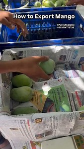 187 reactions · 12 shares | How to Export Mangoes from India Want...