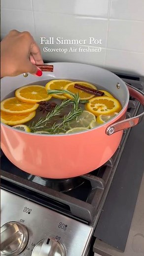 Make Your Home Smell Like Fall 🍂Simmer Pot Recipe