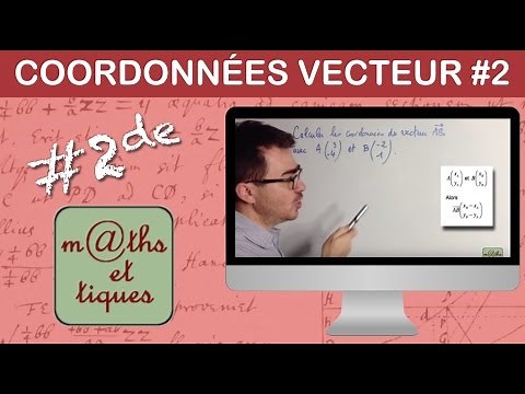 Déterminer les coordonnées d'un vecteur par calcul - Seconde