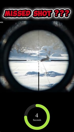 Rabbit Runs Into Scope View — Intense Winter #wildlife4k #trackingPOV #forestwildlife #shortsfeed
