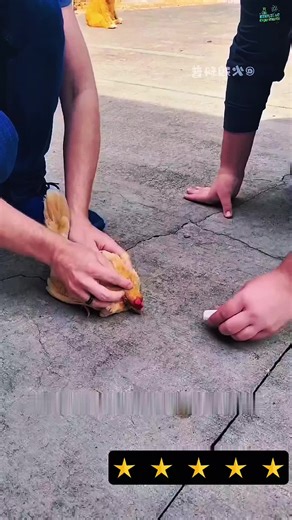 Experiments that you never saw before.. #learnontiktok #scienceexperiments #experiments #usa