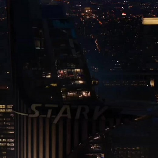 Вы мне на серьезных щах хотите сказать, что группа взрослых людей со сверхспособностями, среди которых даже есть бог - могут спокойно жить за счет Старка, потому что он филантроп? Вы благотворительность с нахлебничеством не путайте, да и Старк их обеспечивал по доброте душевной. Он никогда не был обязан обеспечивать Мстителей. Он на самом деле ни цента в них не должен был вкладывать. С чего вдруг все решили, что Старк был обязан тратить СВОИ деньги на абсолютно незнакомых людей, которые еще и по